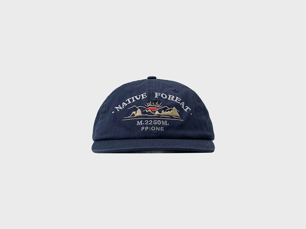 PP native dad hat – Tdp.ng